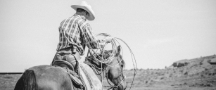 Spring Branding - Blue Valley Ranch : Blue Valley Ranch